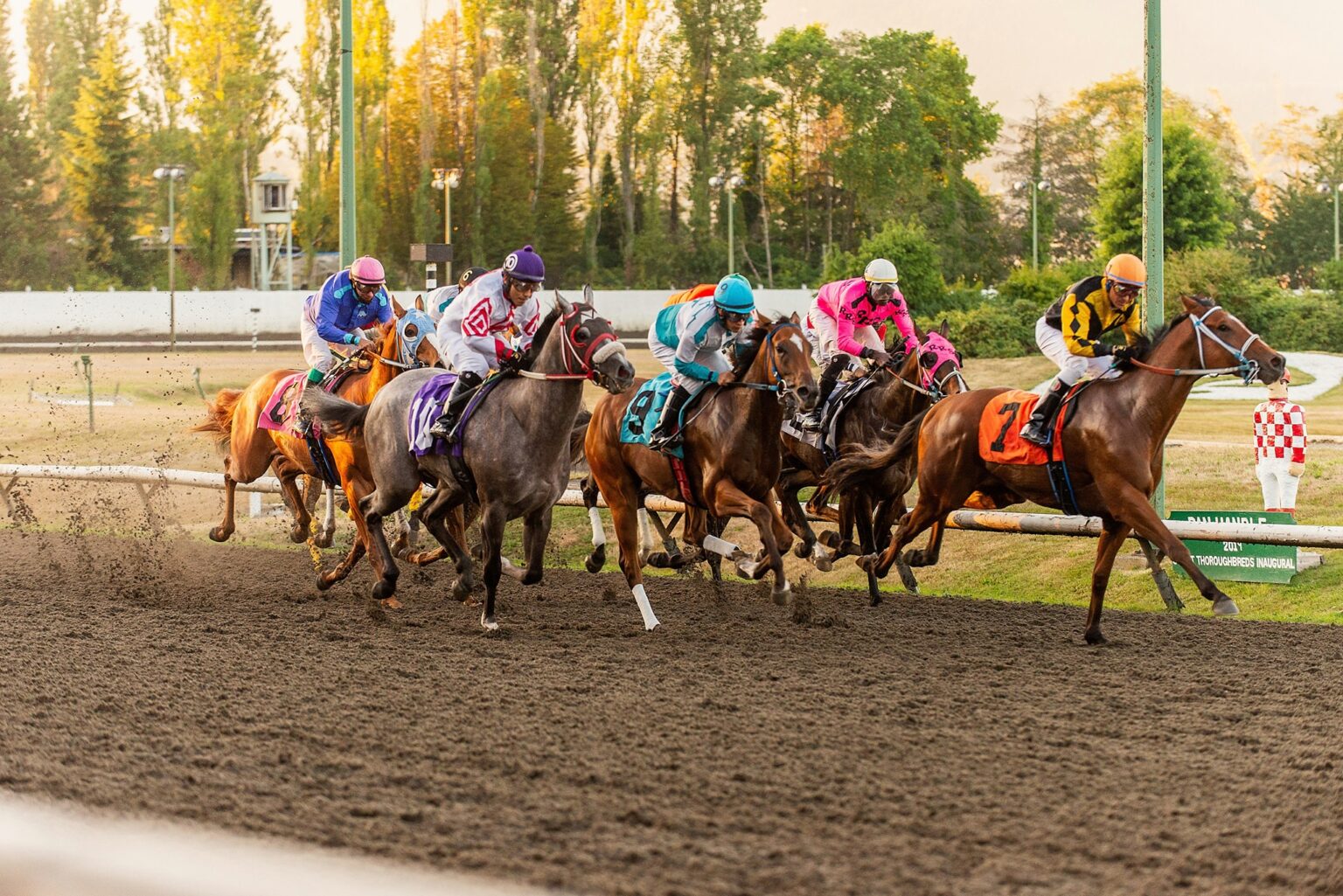 Hastings Racecourse & Casino - Land-Based Casinos in Canada